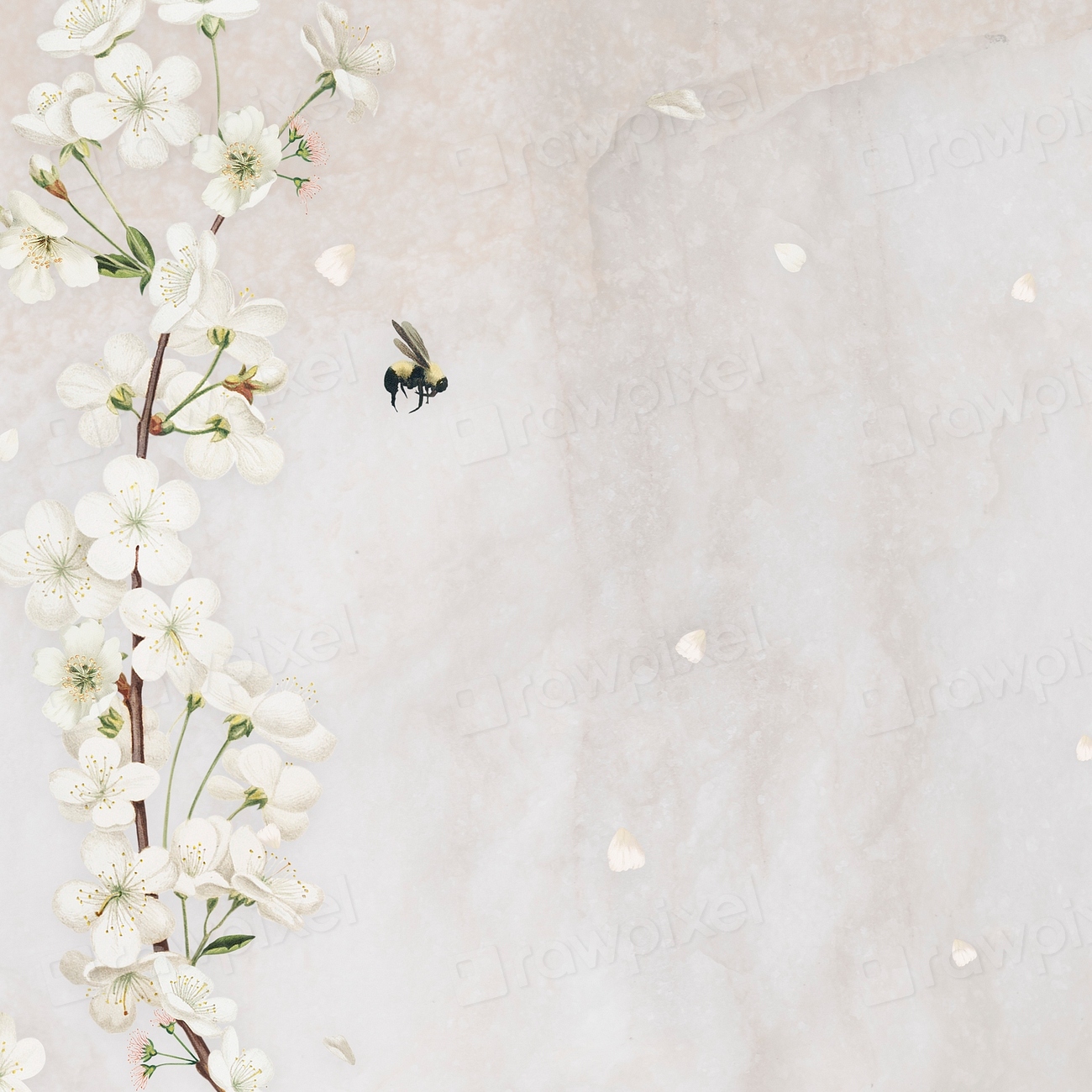 Pink azalea blossom flower branch | Free PSD - rawpixel