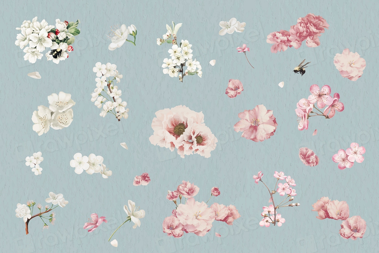 Floral design elements vector collection | Premium Vector - rawpixel