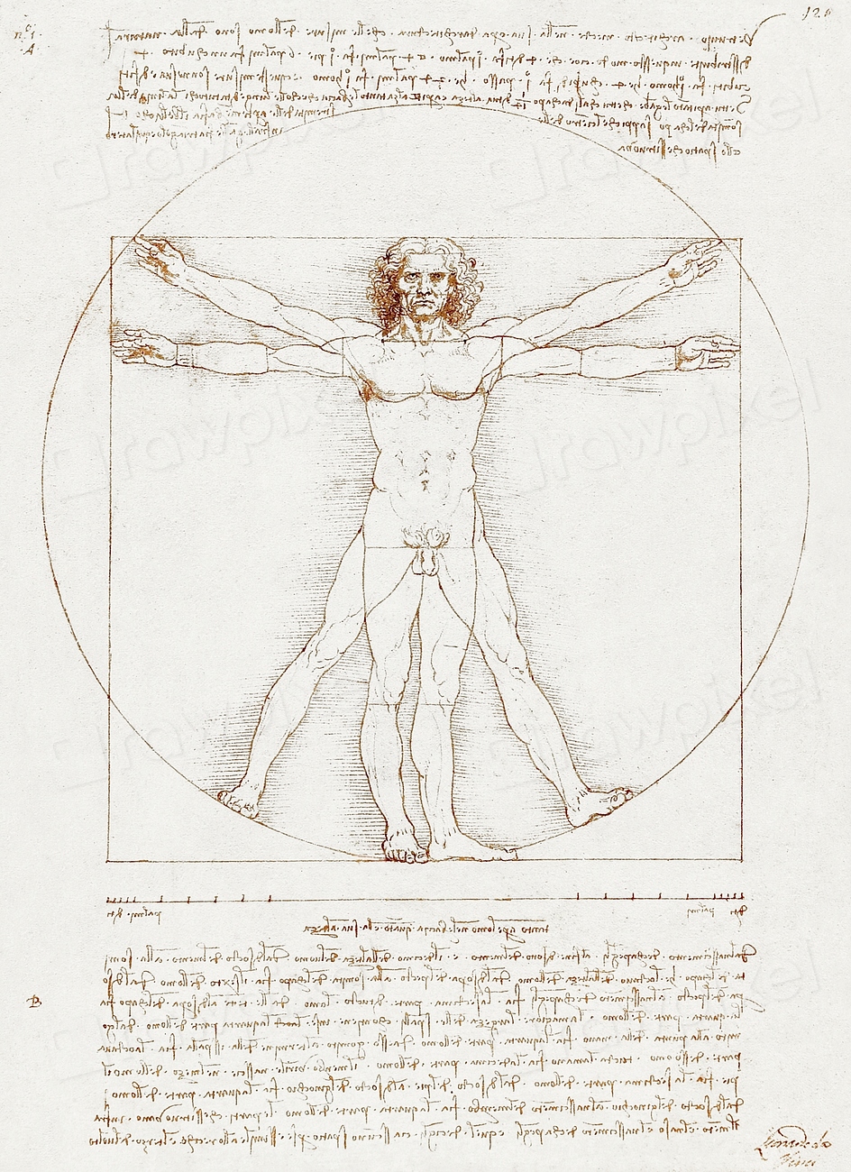 Leonardo da Vinci's Vitruvian Man | Free Photo Illustration - rawpixel