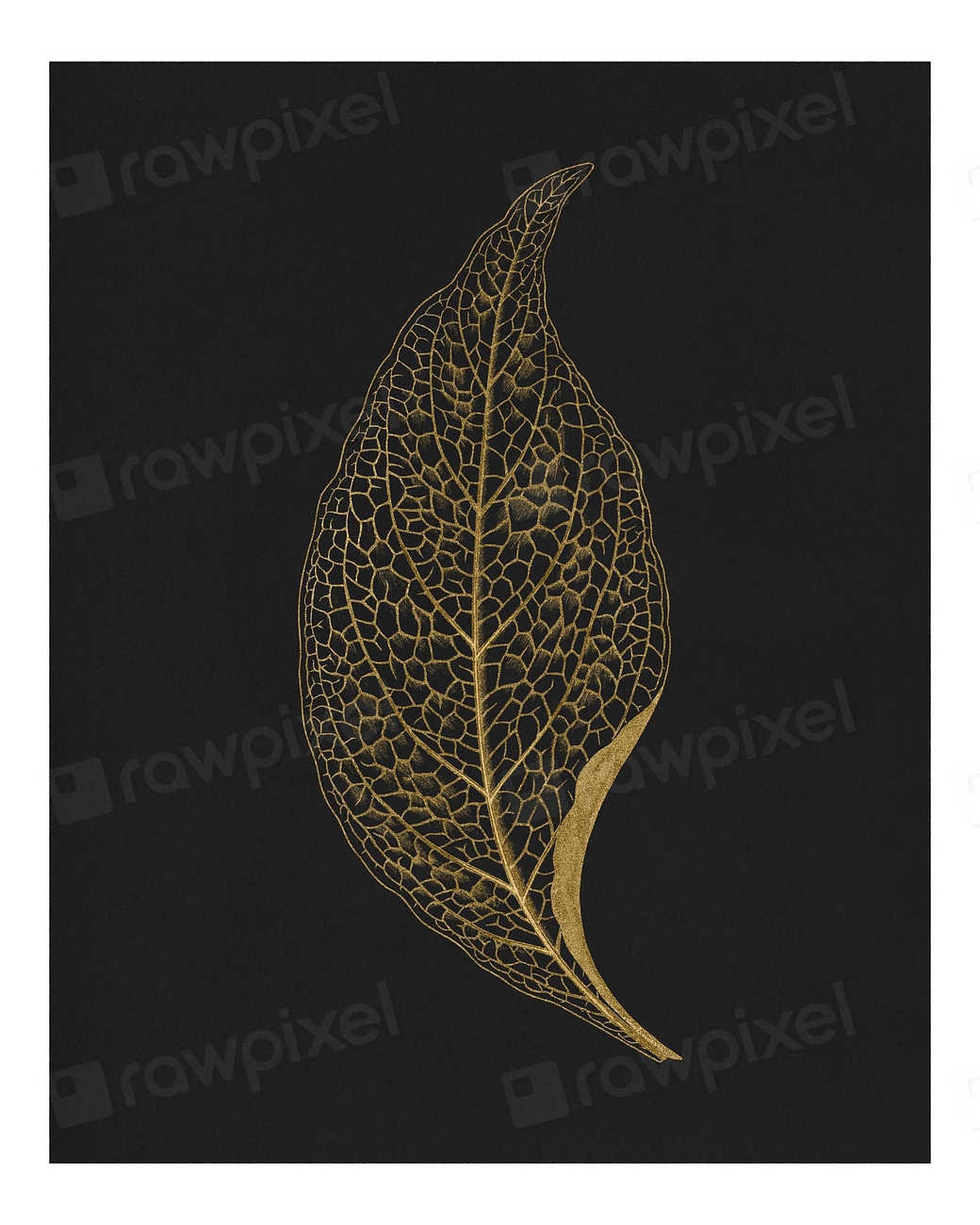 Gold leaf poster, vintage nature | Premium Photo - rawpixel