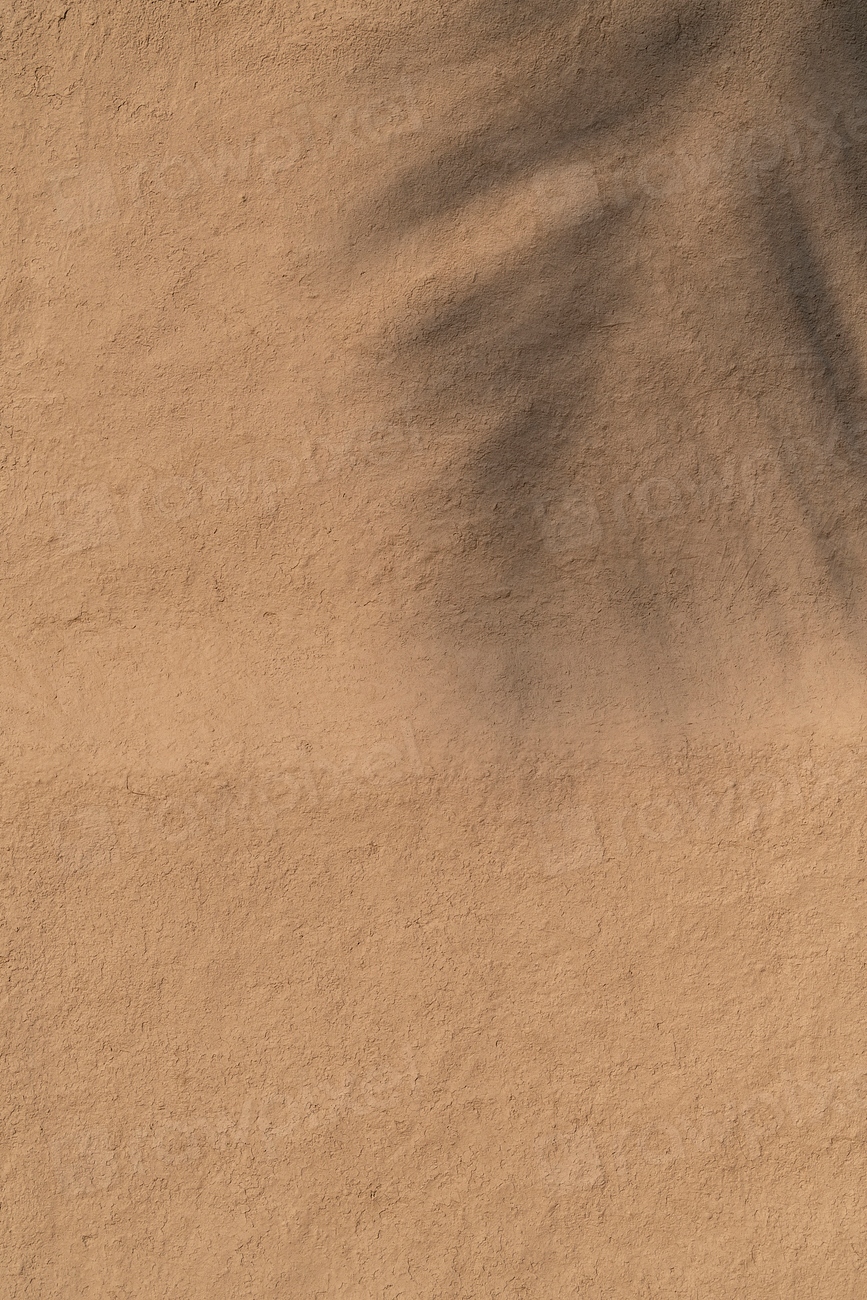 Tree branch shadow grunge wall | Premium Photo - rawpixel