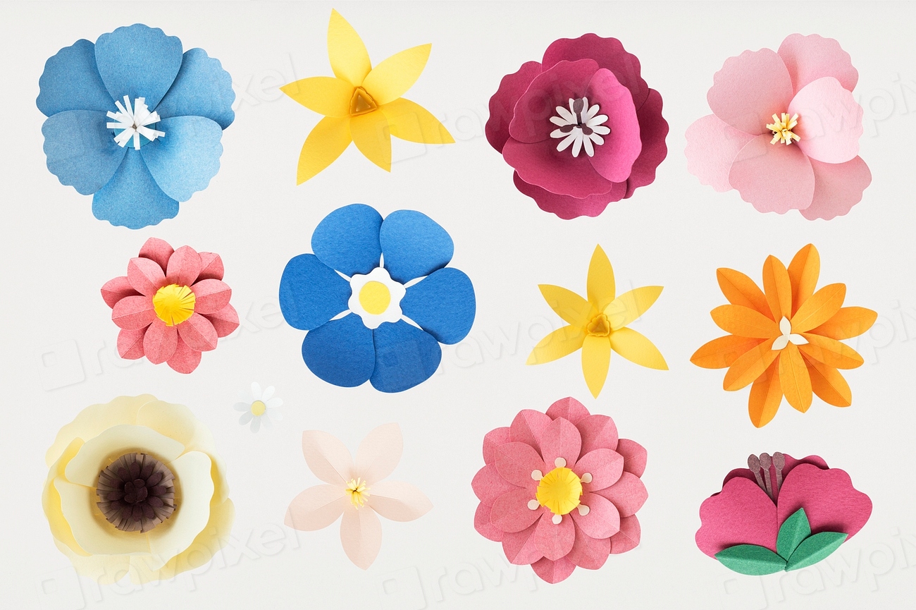 Set of flowers and plants | PSD - rawpixel