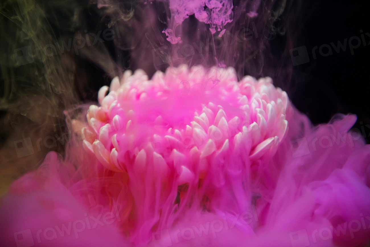 Abstract pink color drop to the water | Free Photo - rawpixel