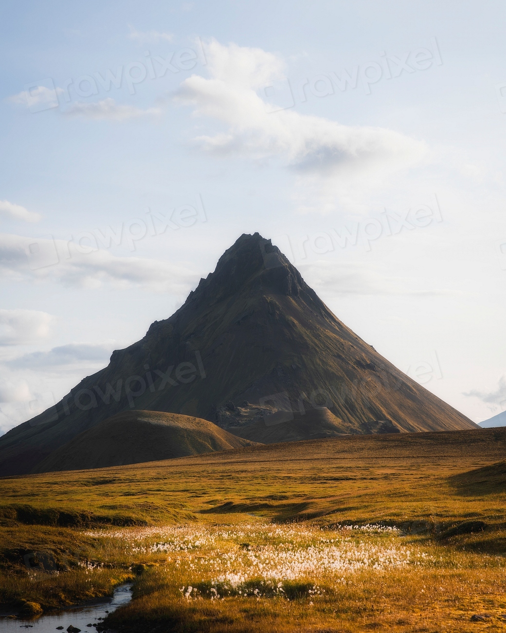 Golden field sharp mountain | Premium Photo - rawpixel