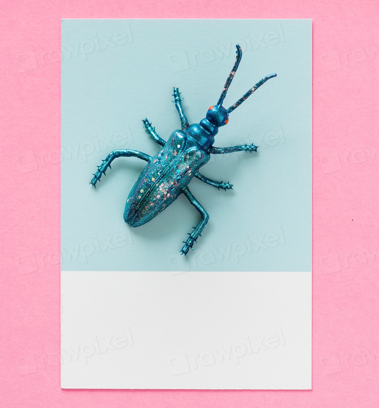 Colorful miniature bug on a paper | Free Photo - rawpixel