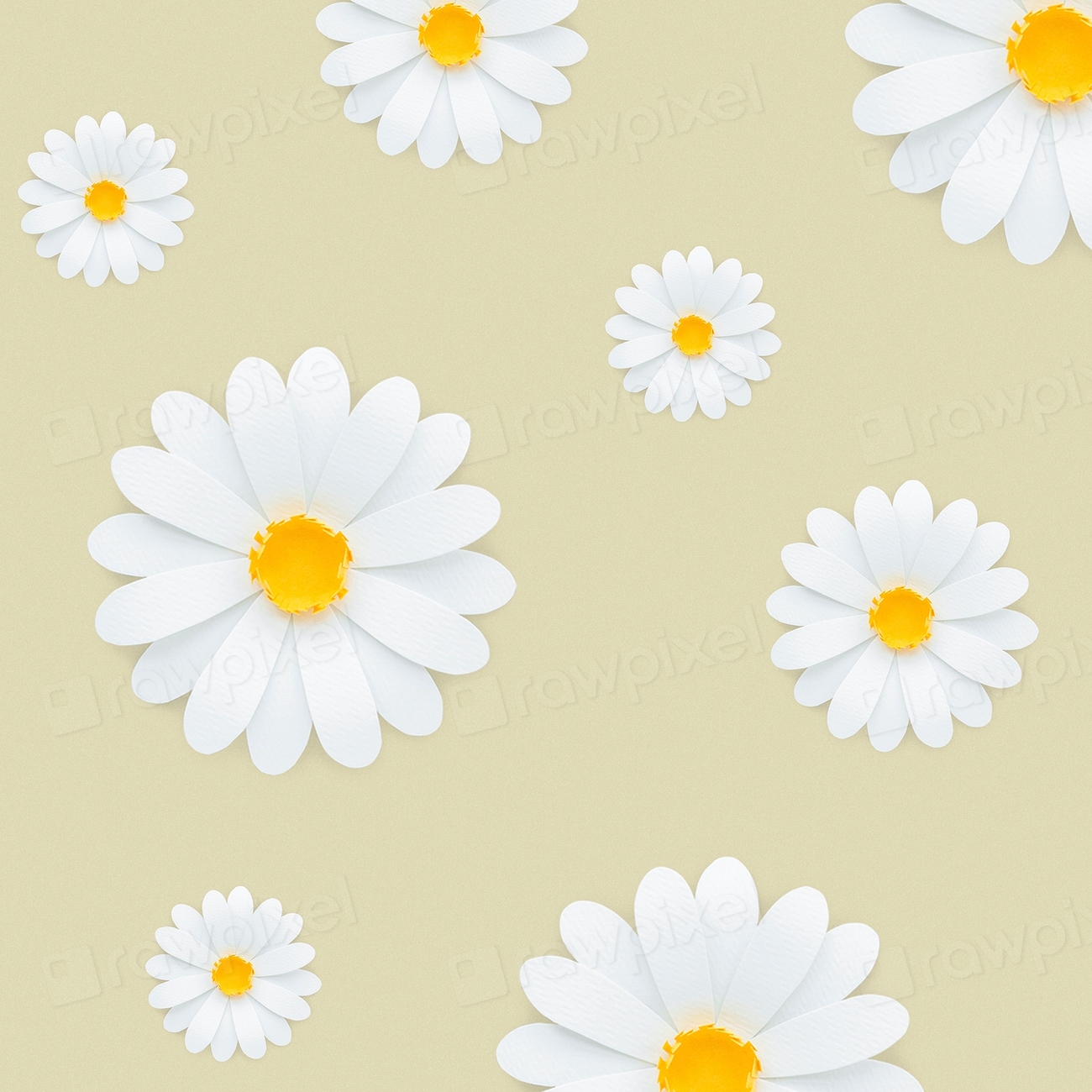 White daisy pattern on pale | Premium Photo - rawpixel
