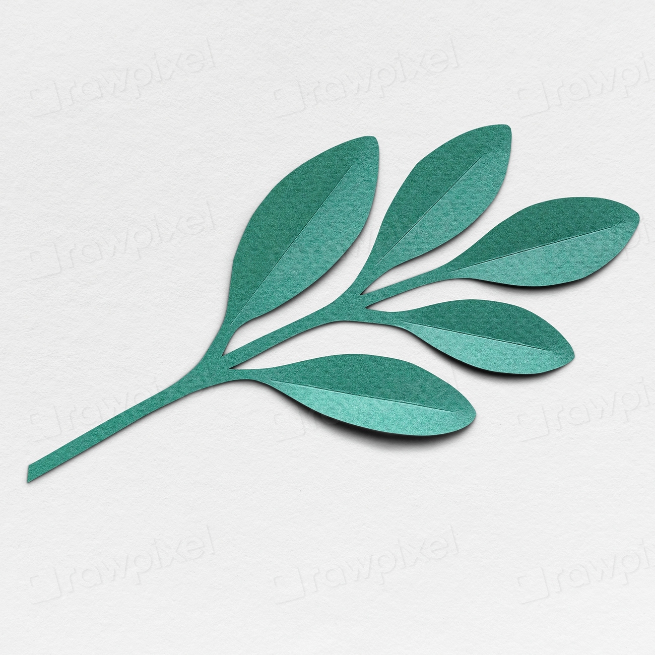 Green paper craft leaf isolated | Premium PSD - rawpixel