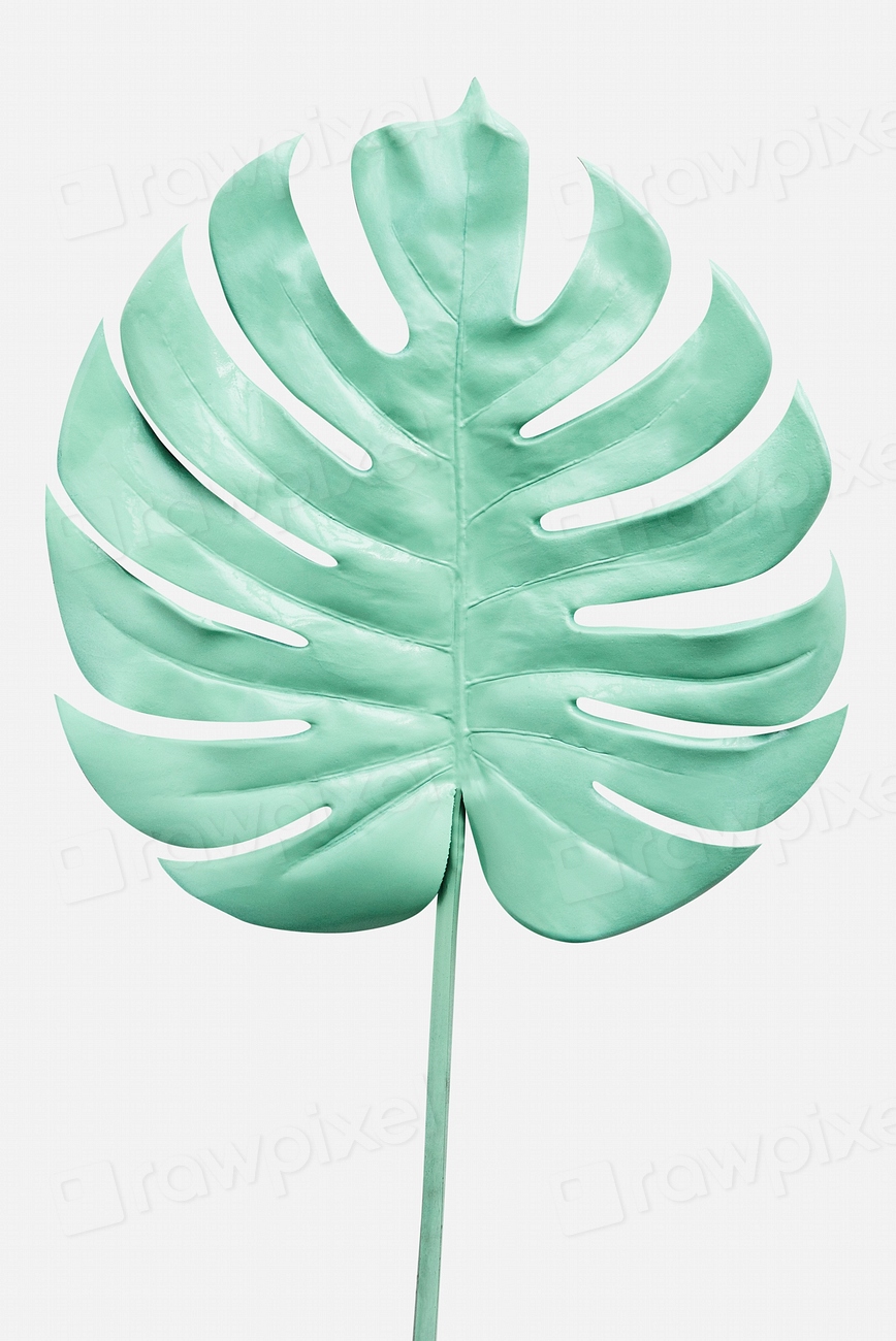 Monstera leaf painted mint green | Premium Photo - rawpixel