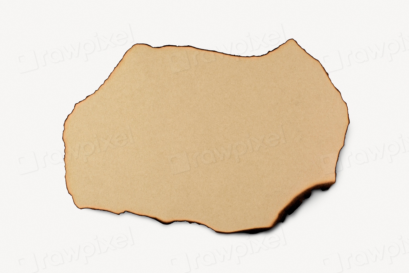 Burnt beige paper collage element | Premium Vector - rawpixel