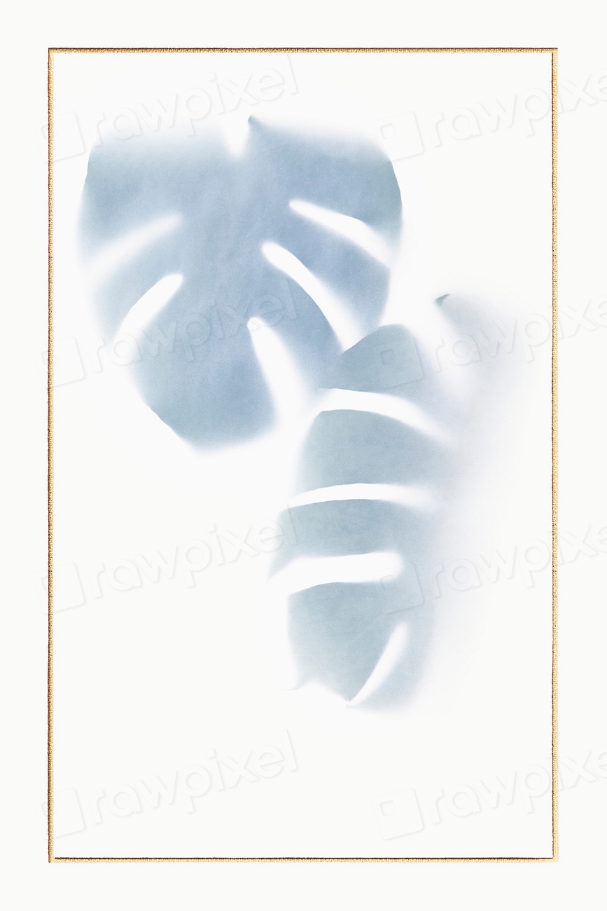 Monstera delicosa plant leaves shadow | Free Photo - rawpixel
