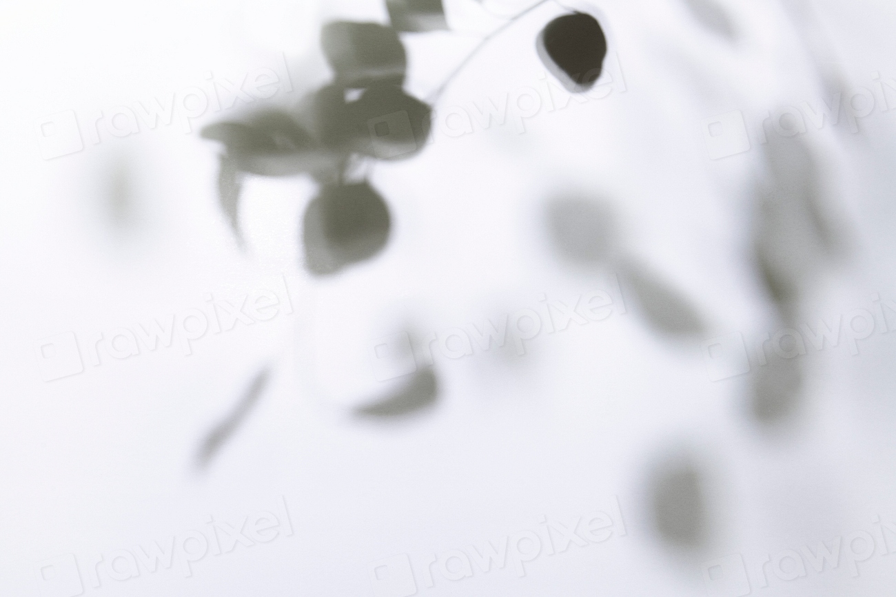 Shadow of leaves design element | Free Photo - rawpixel
