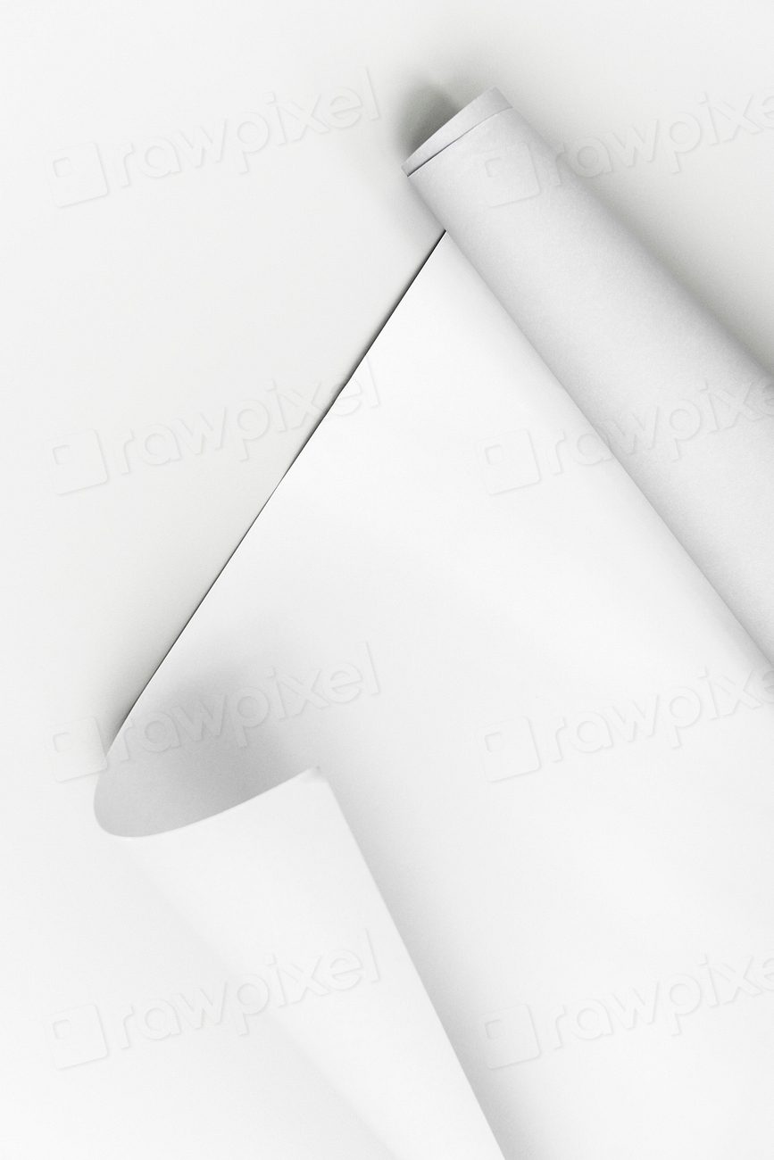 Blank white rolled chart paper | Free Photo - rawpixel