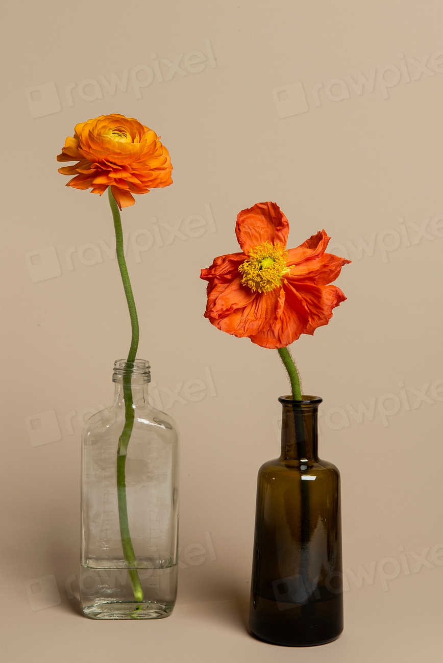 Blooming orange ranunculus flowers bottle | Premium Photo - rawpixel