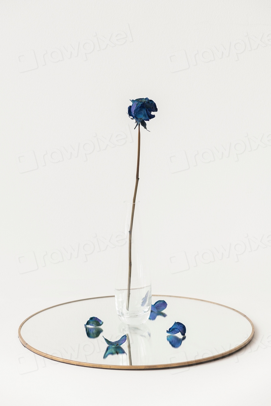 Dried blue rose clear vase | Premium Photo - rawpixel