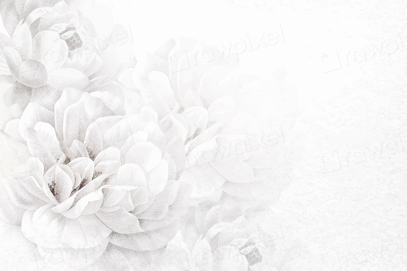 Flower background white border vector | Premium Vector - rawpixel
