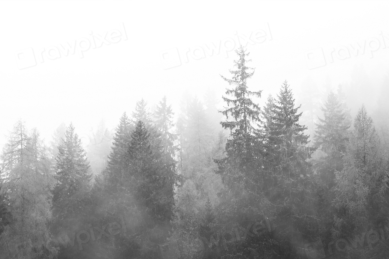 Mist overlay texture PSD effect | Premium PSD - rawpixel