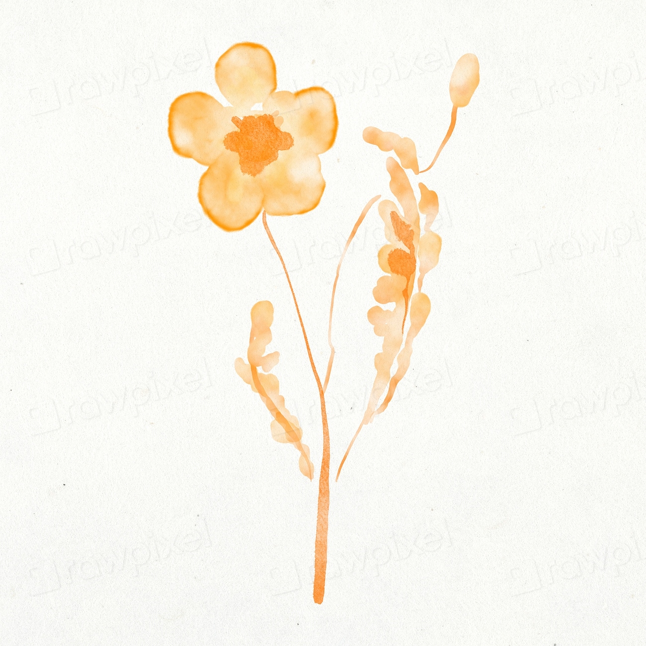 Orange flower sticker, floral watercolor | Premium PSD Illustration ...