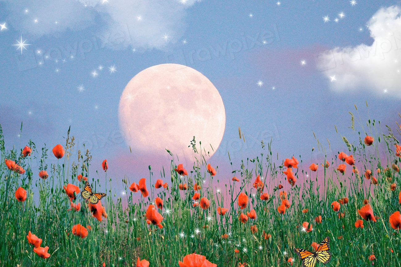 Red flower field background, moon | Premium PSD - rawpixel