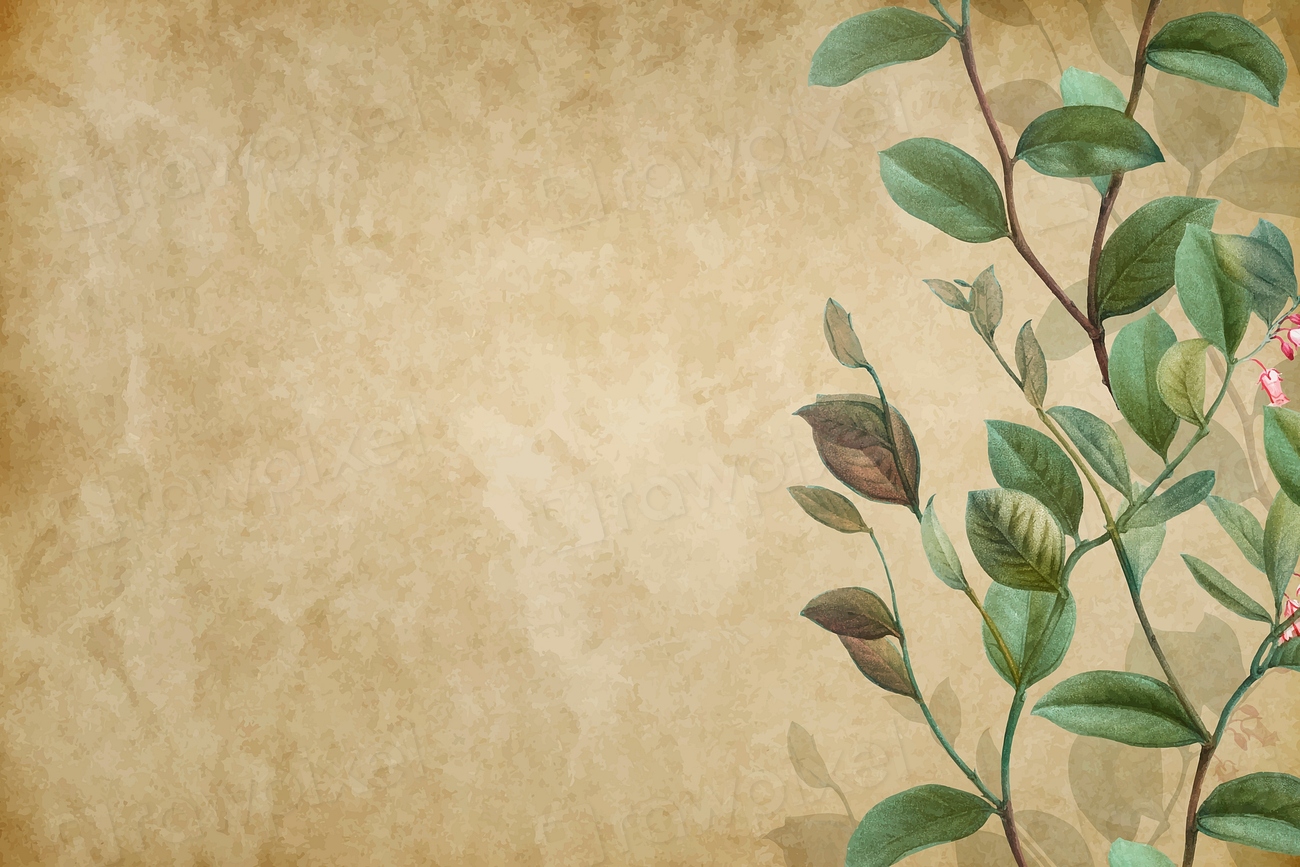 Floral vintage paper background vector | Premium Vector - rawpixel