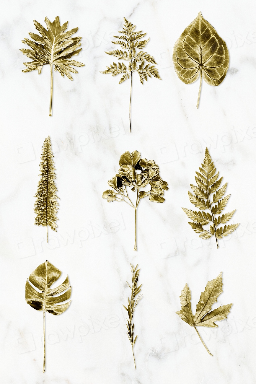Gold colored leaves on white | Premium PSD - rawpixel