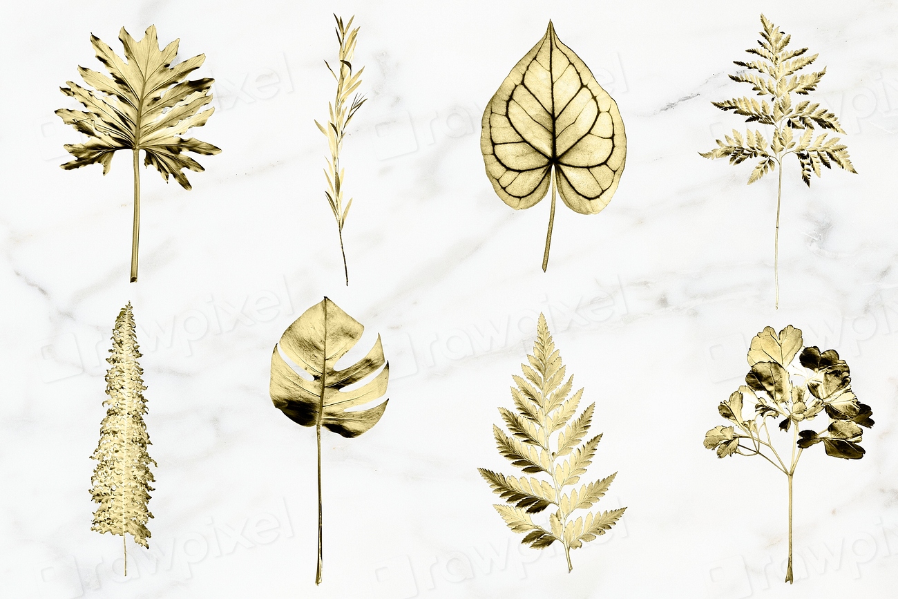 Gold colored leaves on white | Premium PSD - rawpixel