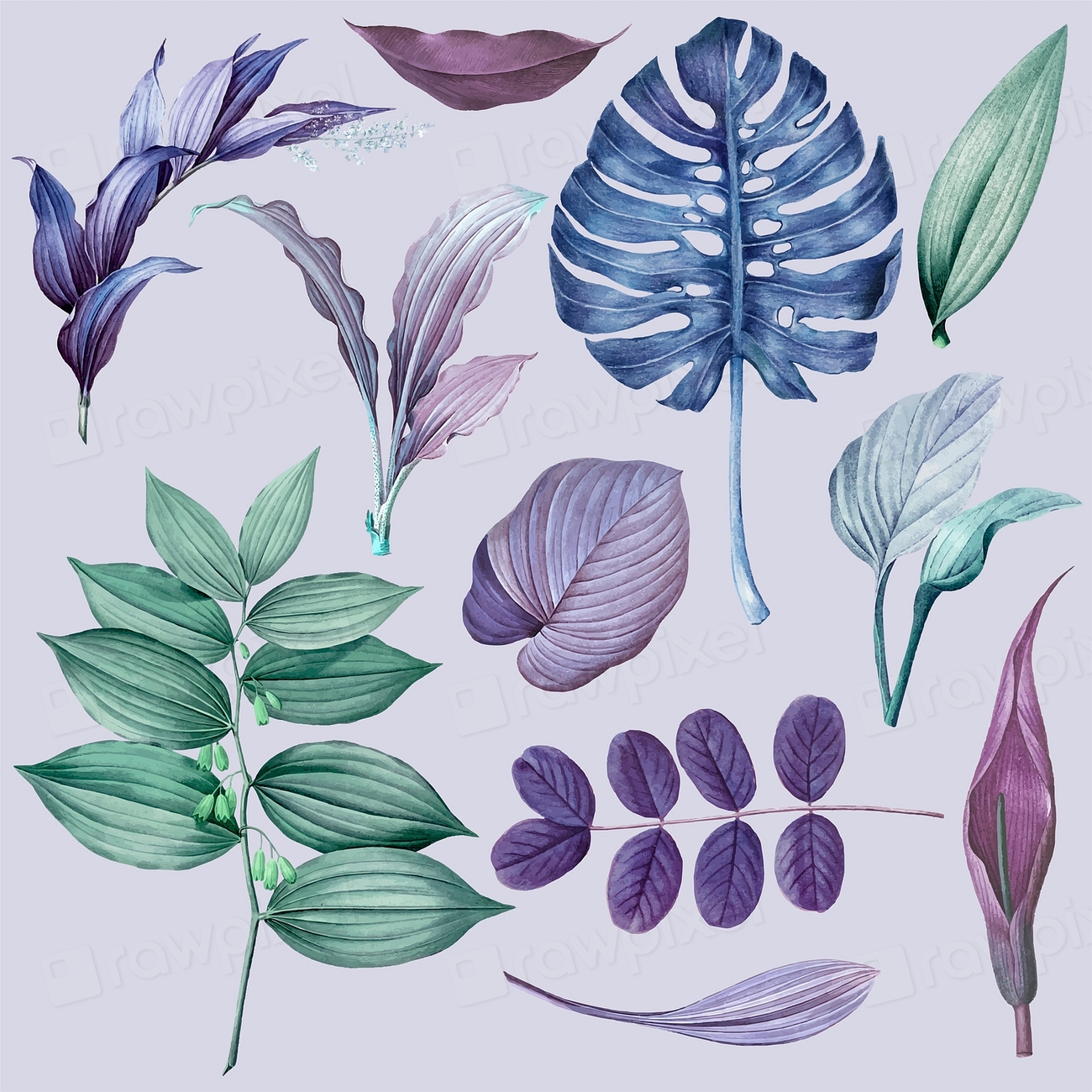 Purple leaves collection design vector | Premium Vector - rawpixel