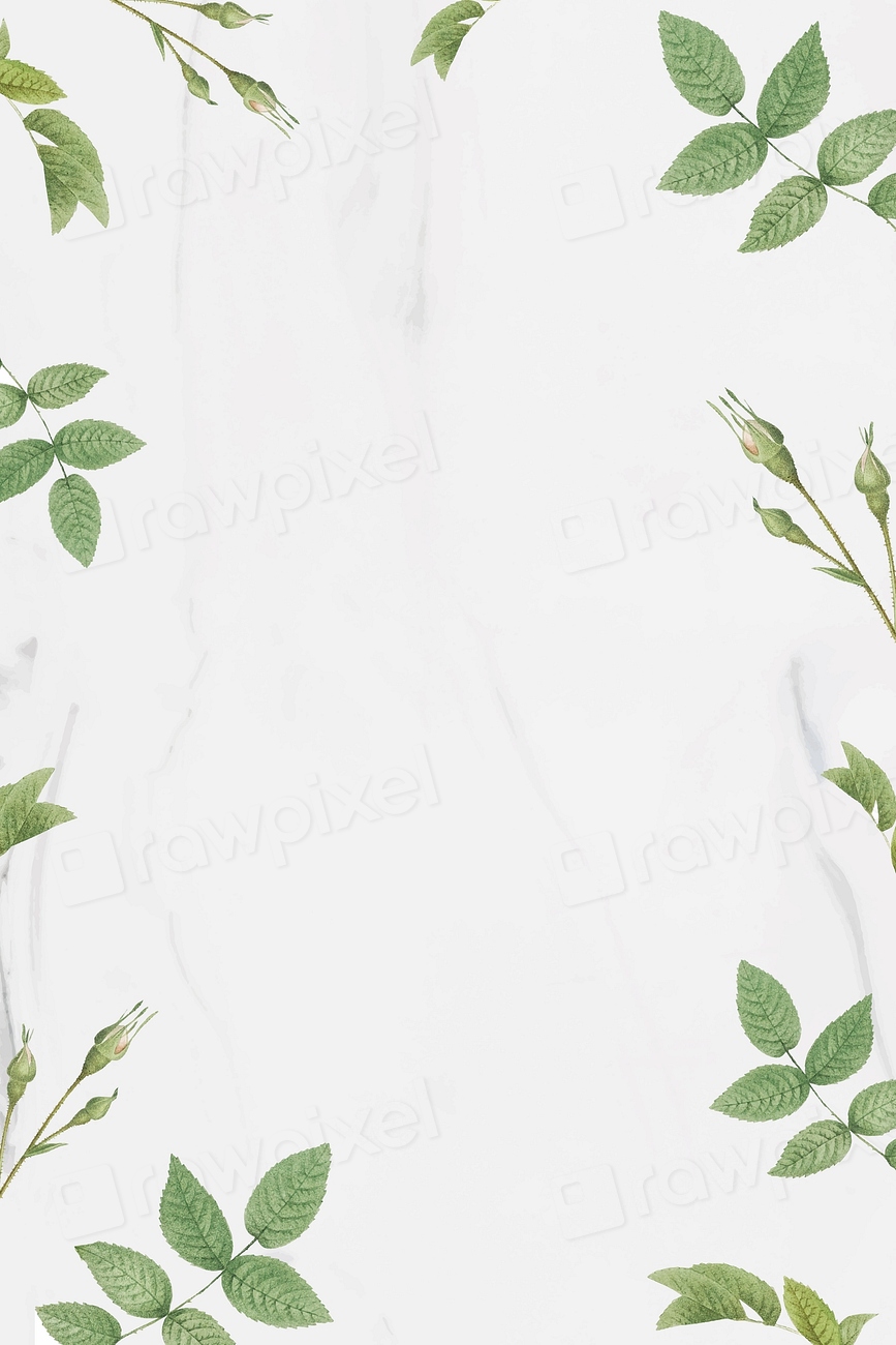 Green foliage pattern frame vector | Premium Vector - rawpixel