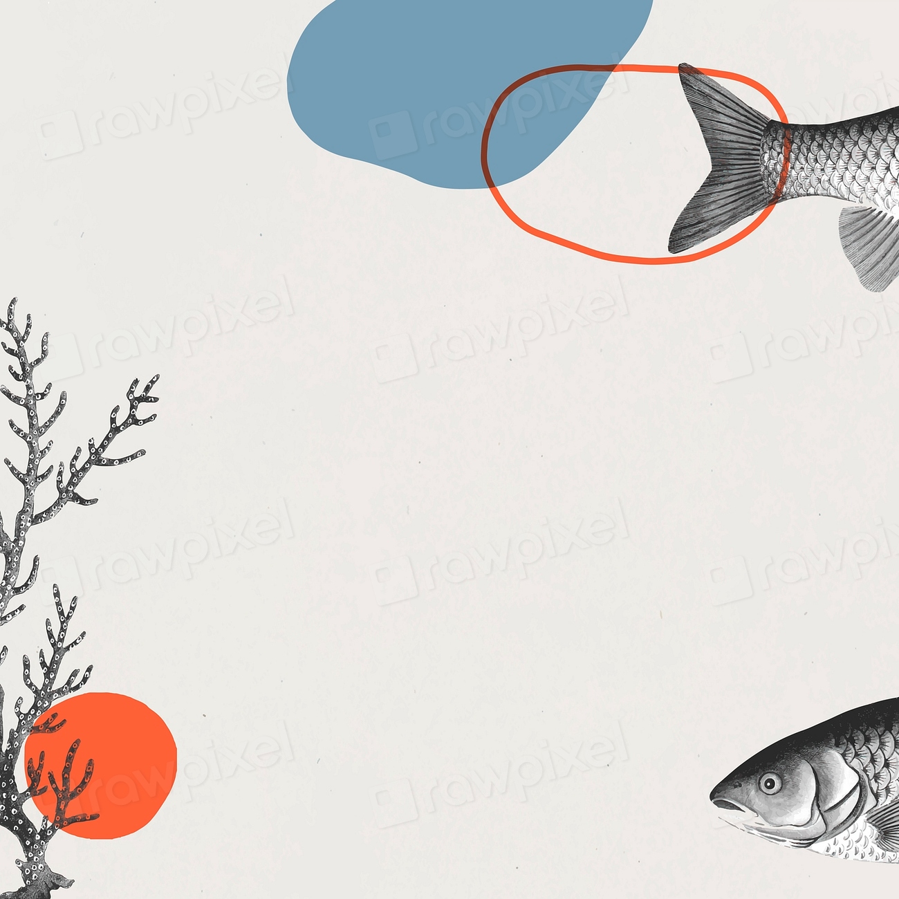 Vintage fish frame art vector | Premium Vector - rawpixel