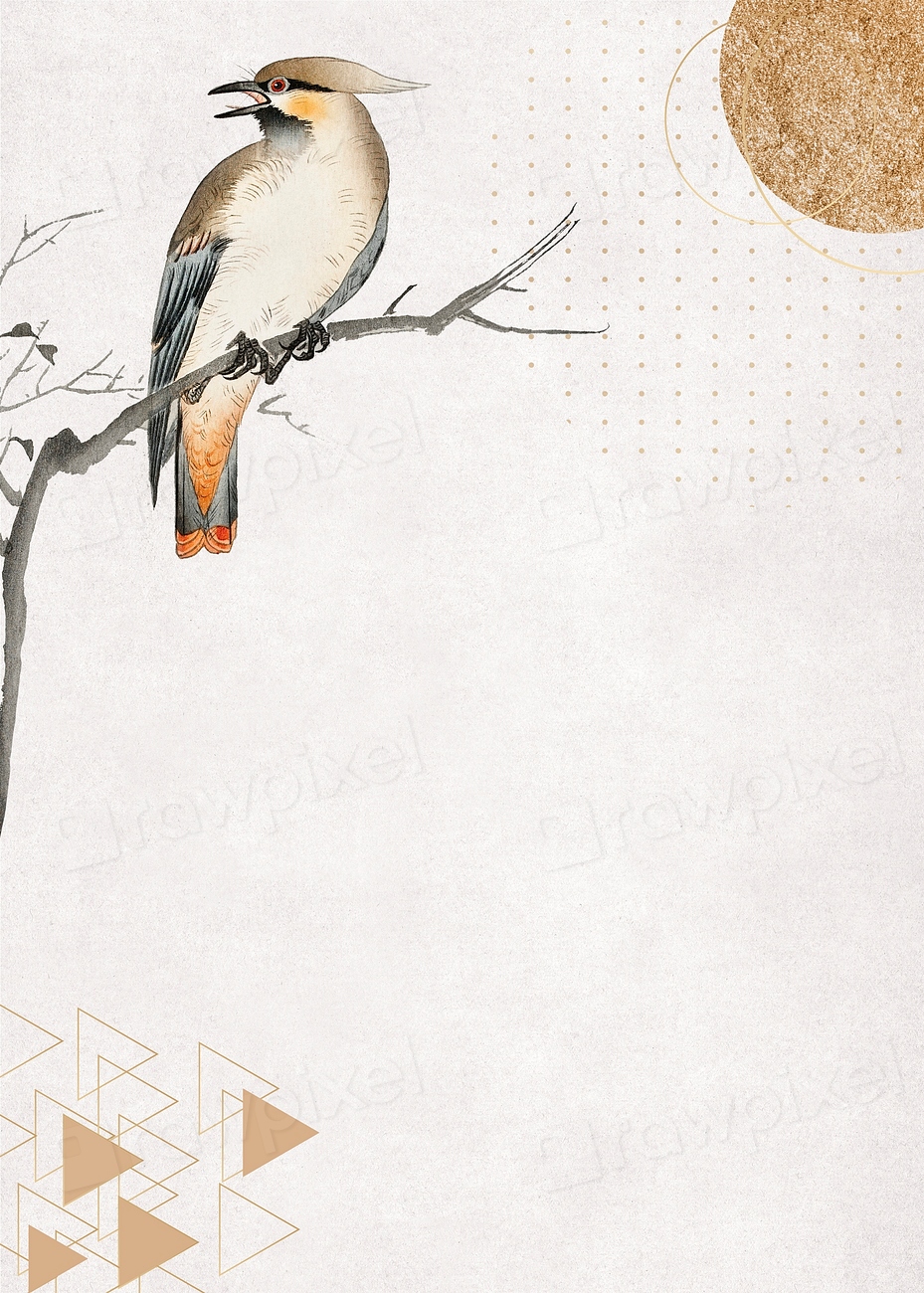 Bird branch frame design | Premium PSD - rawpixel