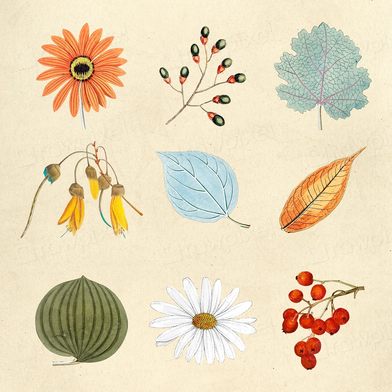 Mixed flowers and leaves set | Premium PSD - rawpixel