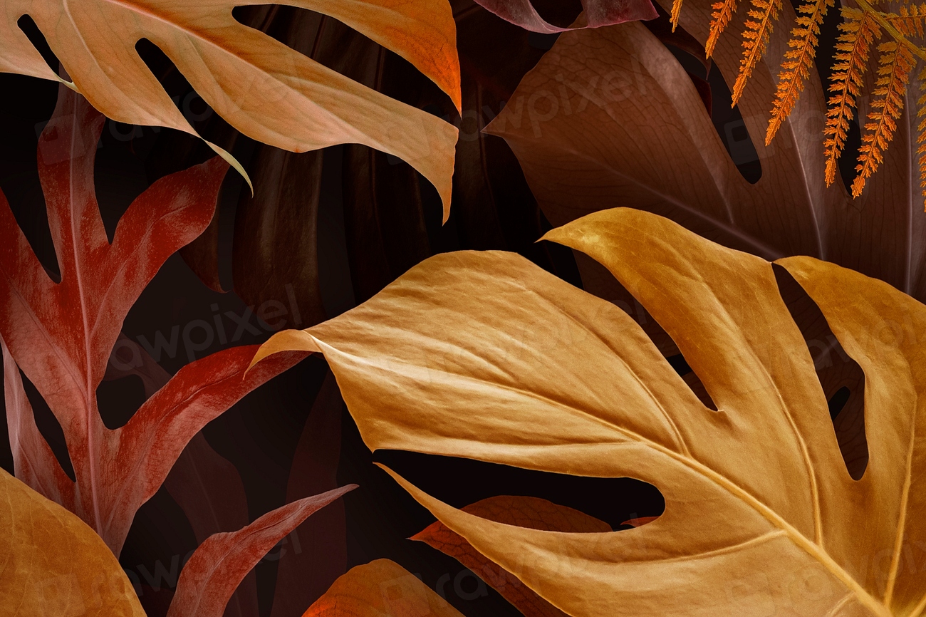 Brown Monstera Deliciosa leaves design | Premium Photo - rawpixel