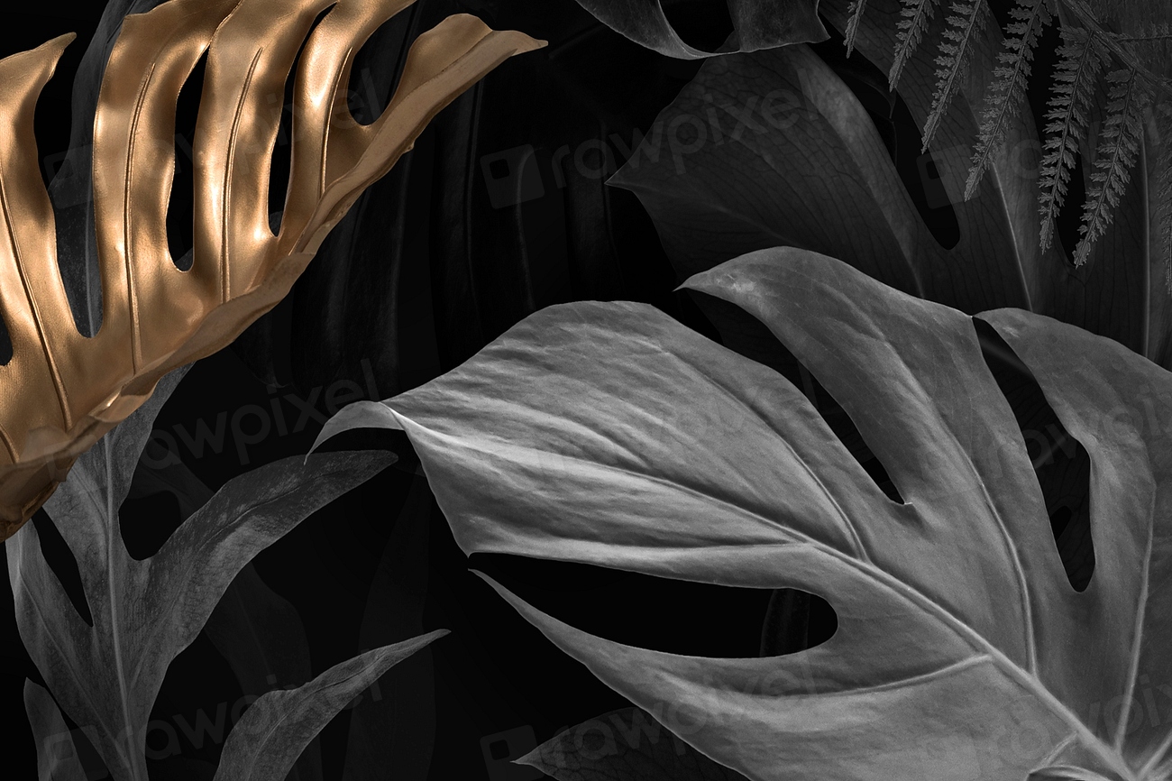 Gold and black Monstera Deliciosa | Premium Photo - rawpixel