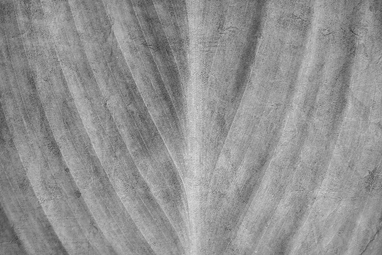 Colored leaf pattern textured backdrop | Premium Photo - rawpixel