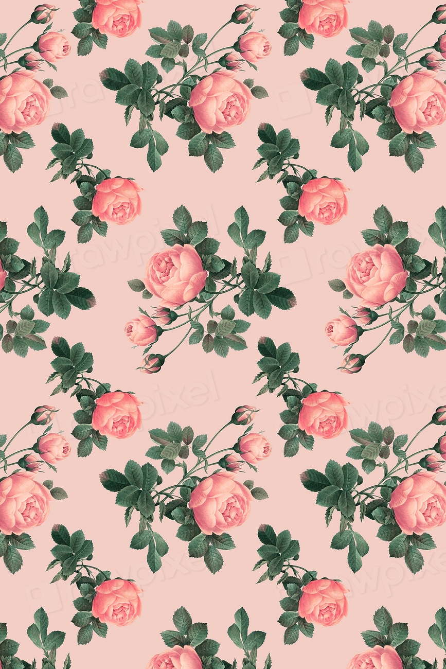 Pink English rose pattern crepe | Premium Photo - rawpixel