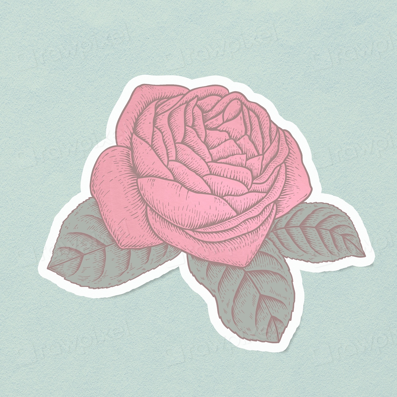 Red rose flower sticker overlay | Premium PSD - rawpixel