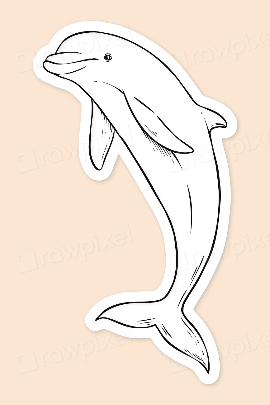 Vintage hand drawn dolphin cartoon | Free Photo - rawpixel