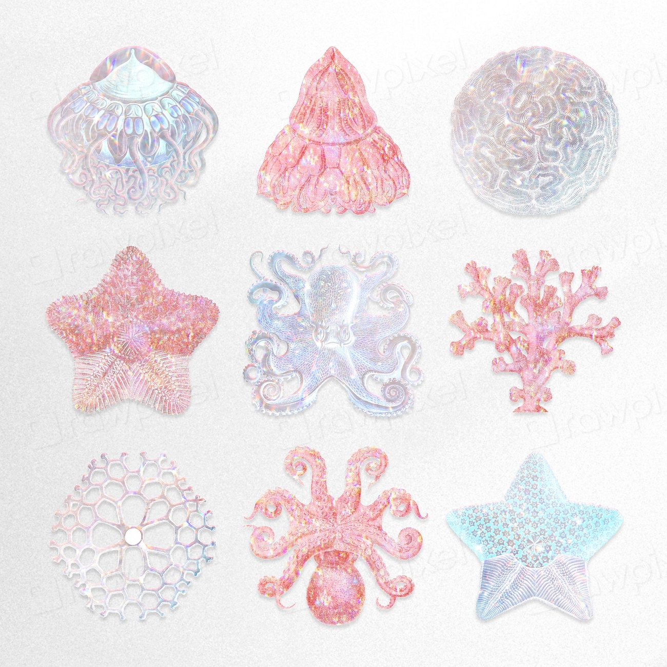 Set holographic marine life sticker | Premium PSD - rawpixel