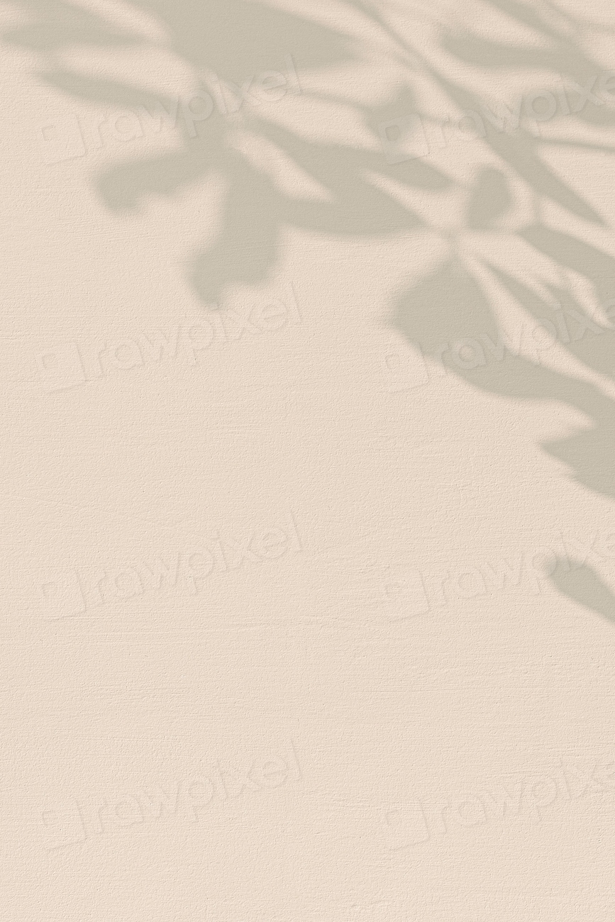 Leaves shadow on a beige | Premium Photo - rawpixel