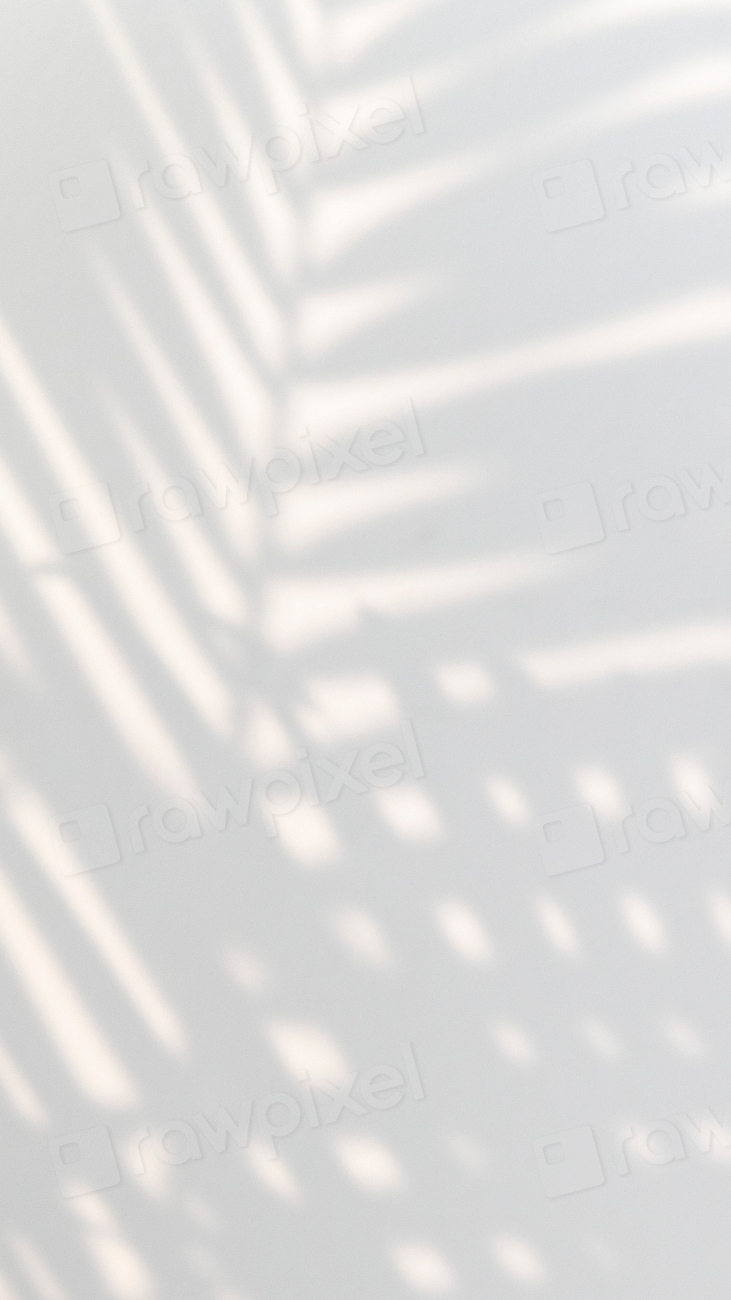 Tropical palm leaves shadow on a white | Free Photo - rawpixel