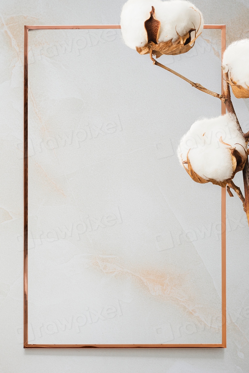 Dried cotton flower frame metallic | Premium PSD - rawpixel