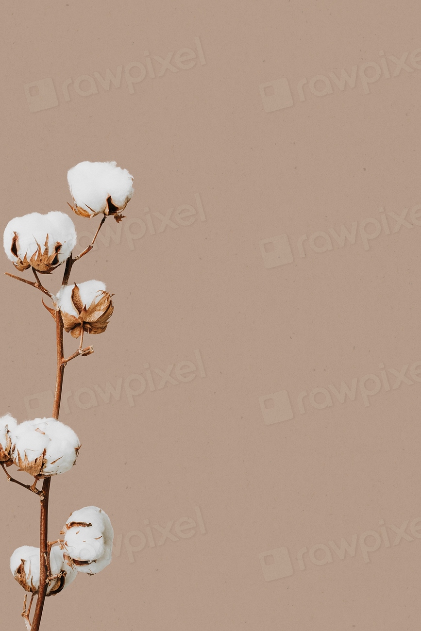 Beige minimal flower background design | Free Photo - rawpixel