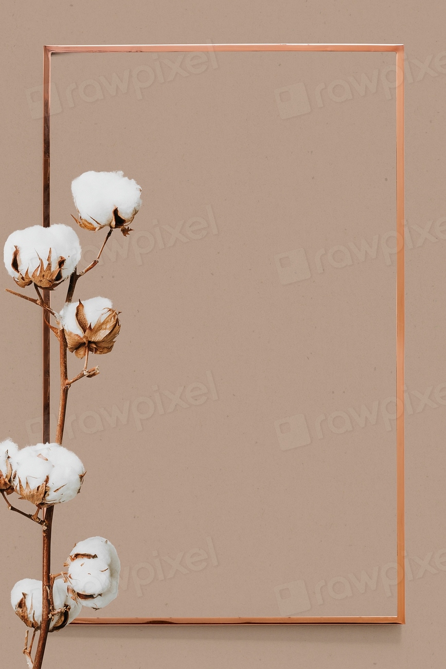 Dried cotton flower frame metallic | Premium PSD - rawpixel