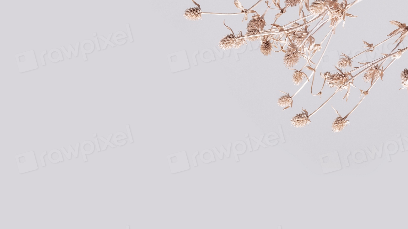 Natural dried flower floral background | Free Photo - rawpixel