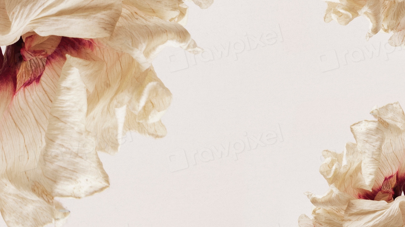 Earth tone floral background wallpaper | Premium Photo - rawpixel