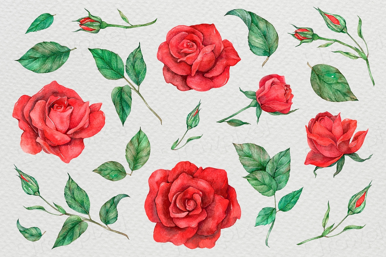 Psd rose flower and leaf | Premium PSD - rawpixel