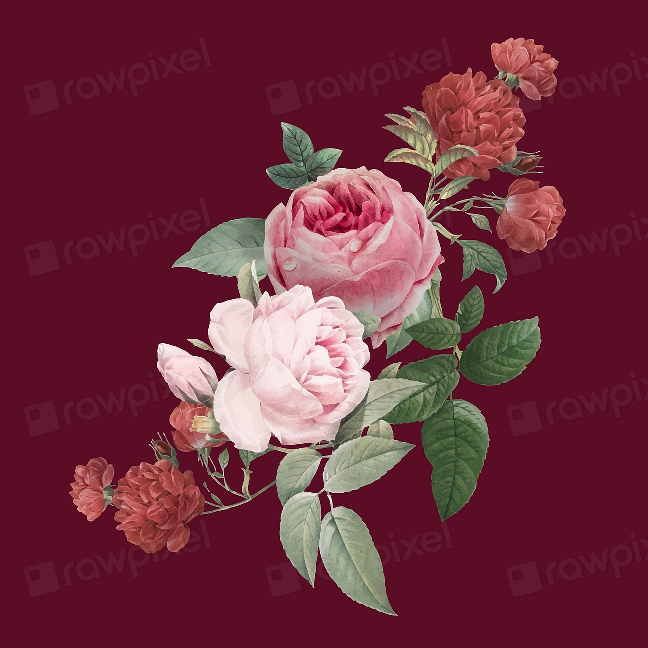 Red vector roses flower bouquet | Premium Vector Illustration - rawpixel