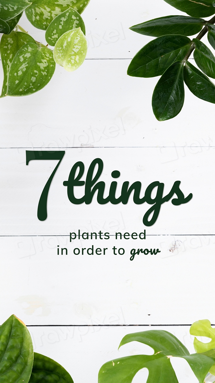 Growing plant guide template vector | Premium Vector Template - rawpixel