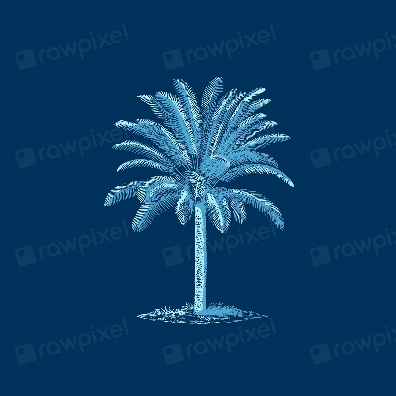 Blue palm tree psd hand | Premium PSD Illustration - rawpixel