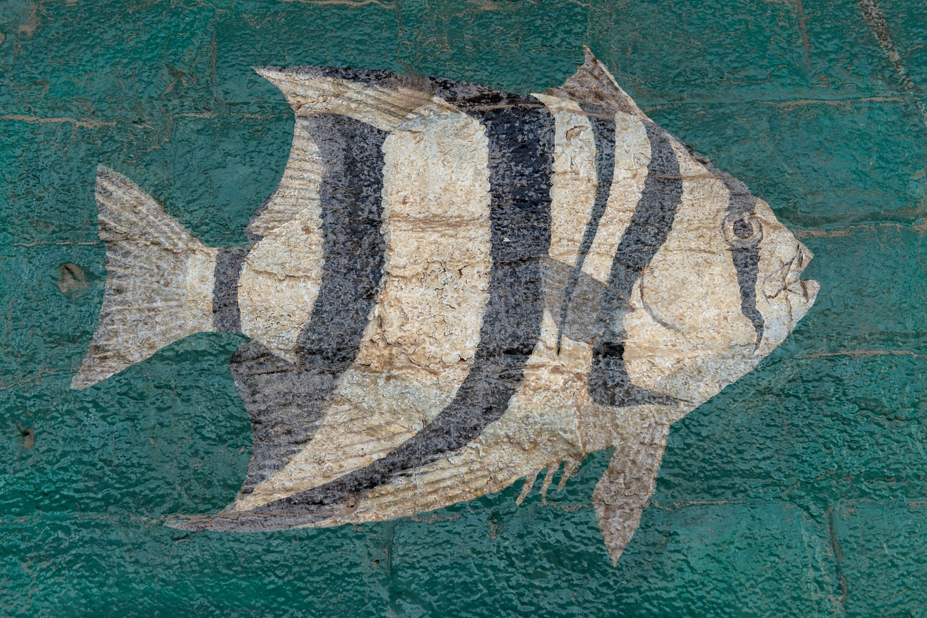 Part elaborate "fish mural," painted | Free Photo Illustration - rawpixel