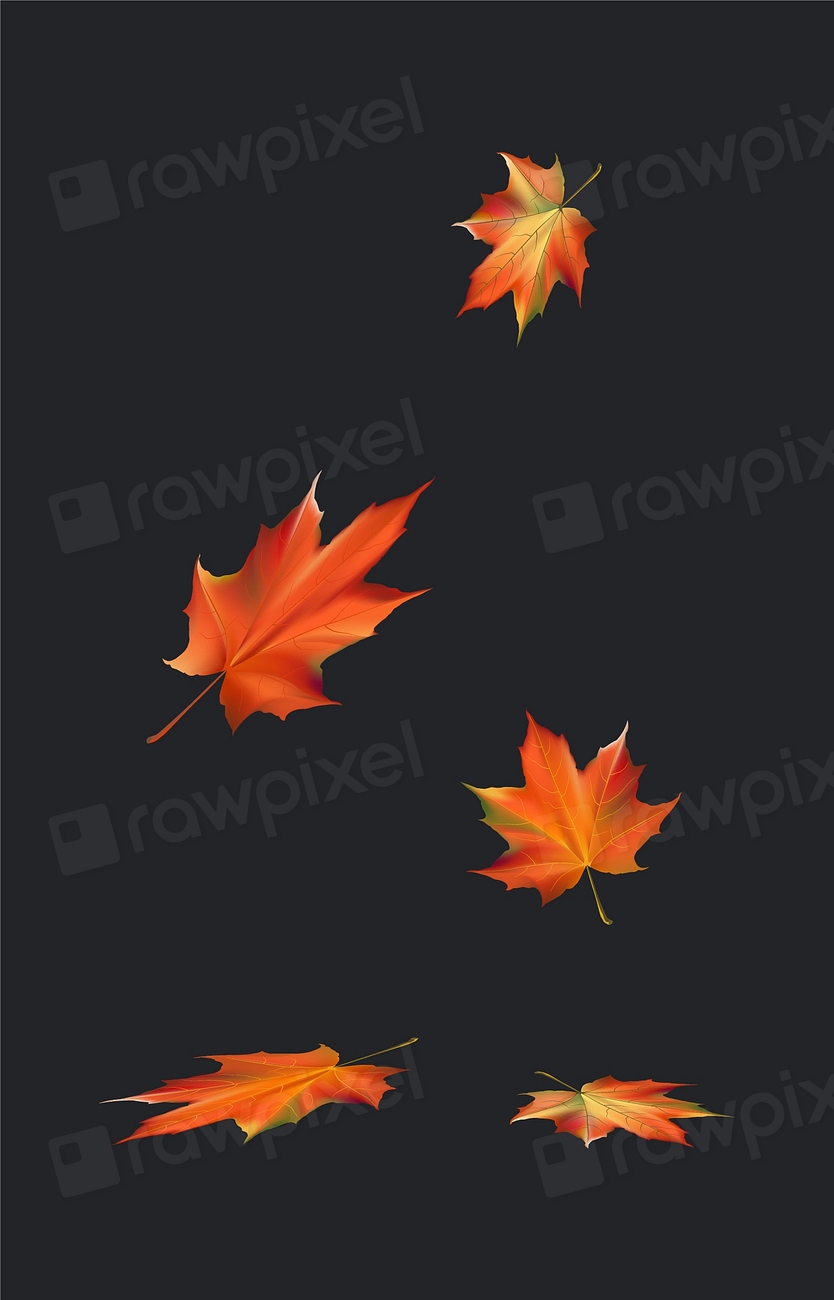 Falling red maple leaves illustration | Free Vector - rawpixel